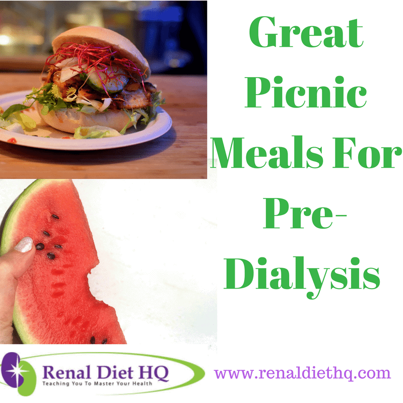 Picnic Meals For Pre Dialysis CKD - Renal Diet HQ