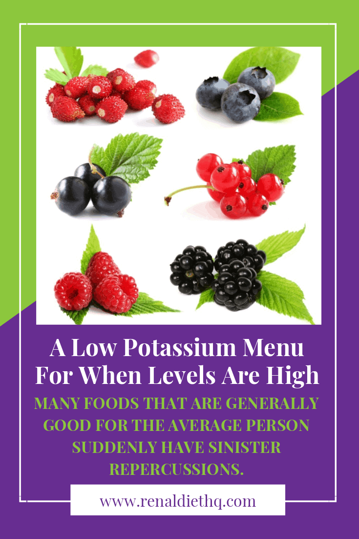 A Low Potassium Menu For When Levels Are High - Renal Diet HQ