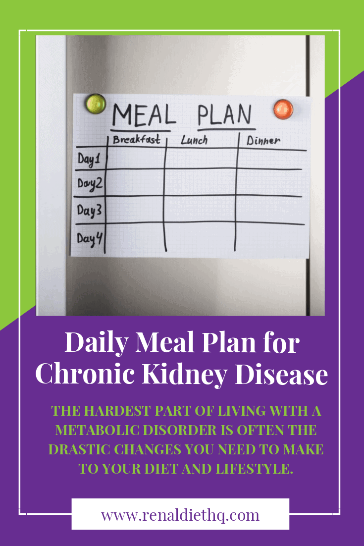 Renal Diet Breakfast, Lunch, Dinner - RDHQ