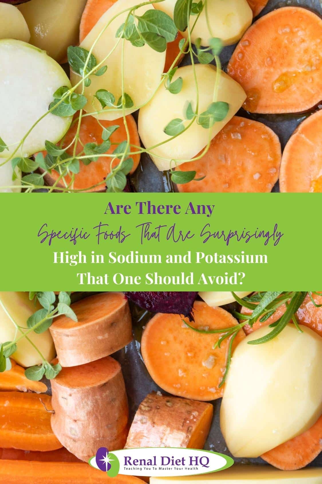 Deliciously Healthy: Low Sodium Low Potassium Recipes