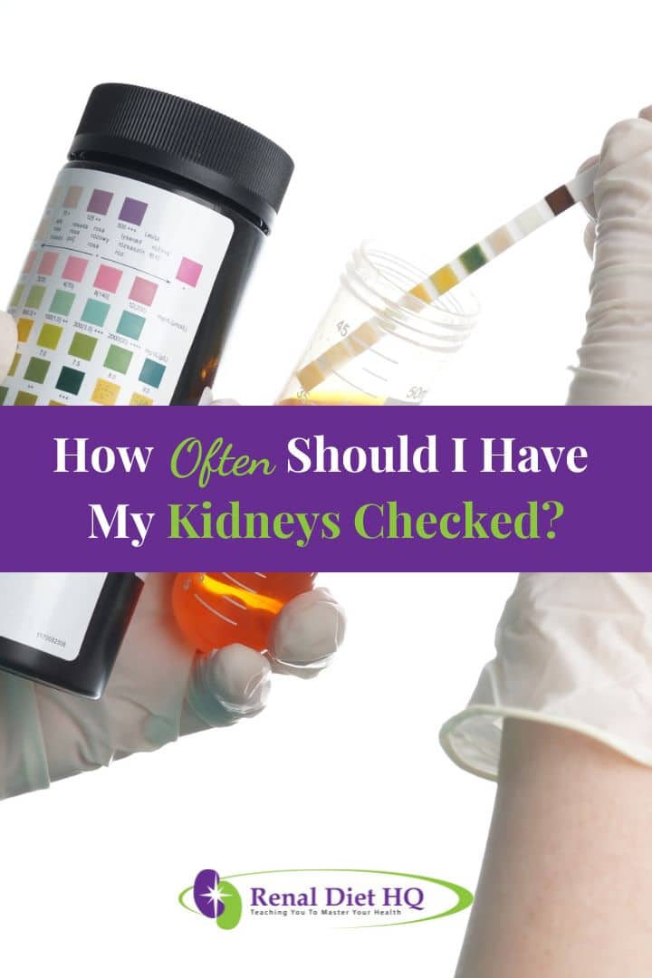 Kidney Doctor: What Is A Nephrologist? - Renal Diet HQ