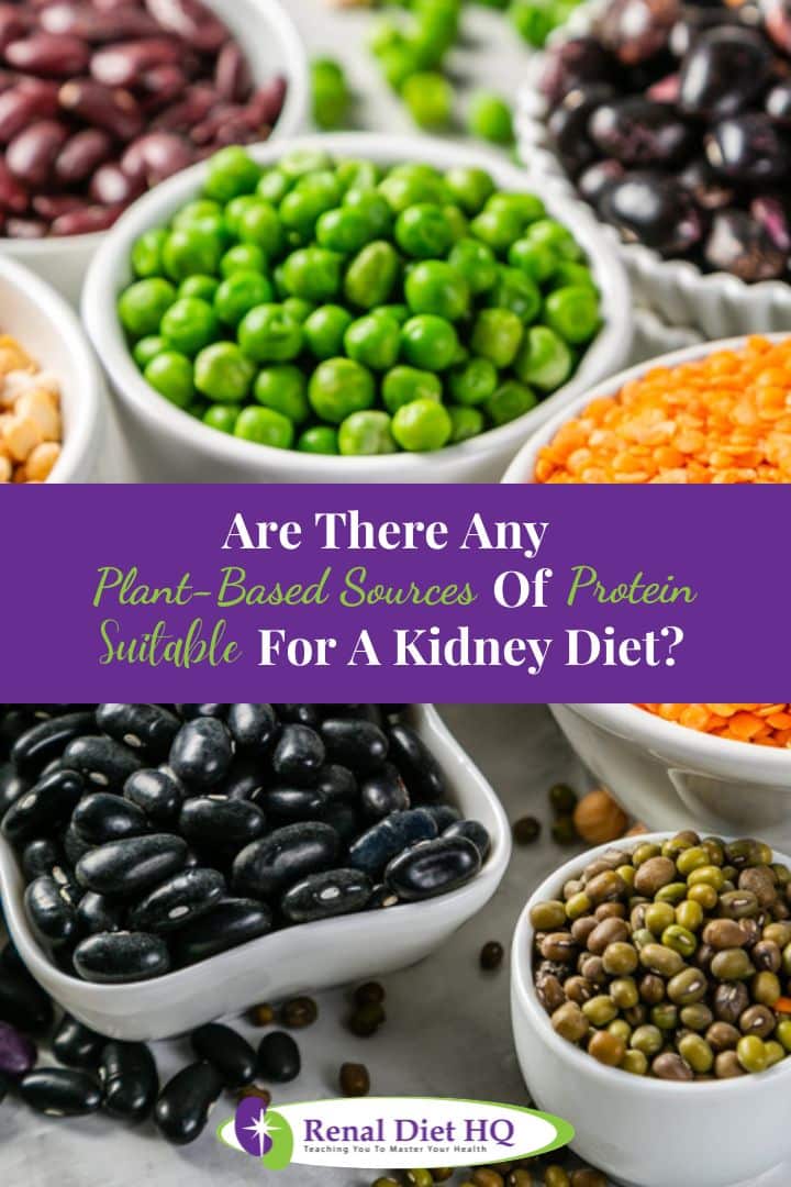 Dietary Protein And The Kidney Diet - Renal Diet HQ
