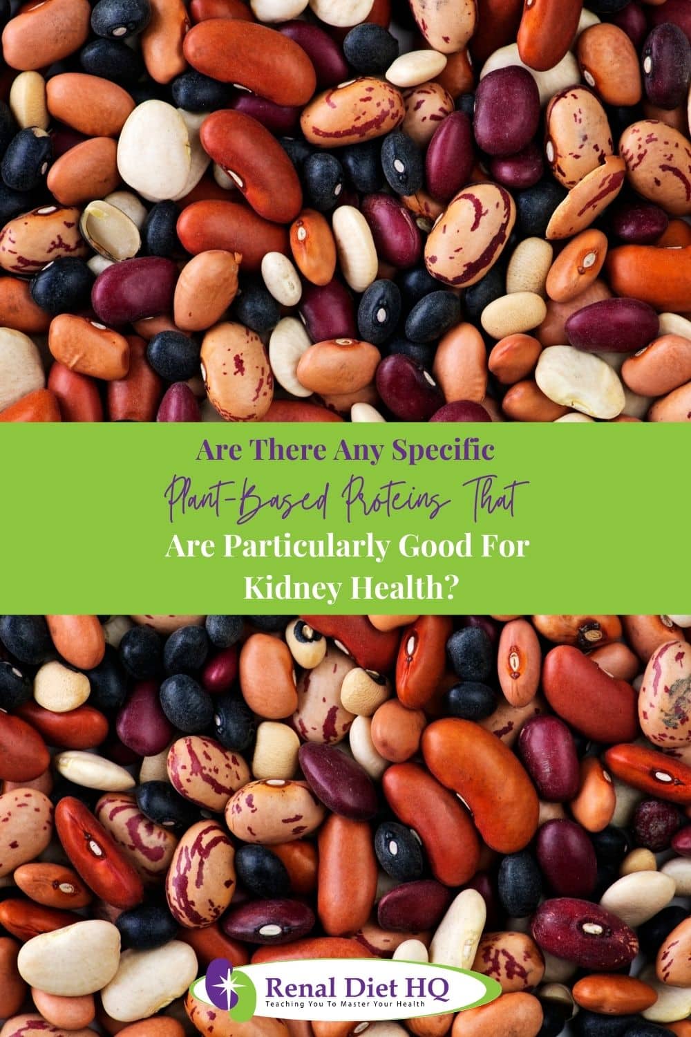 Kidney Friendly Snacks | Renal Diet HQ