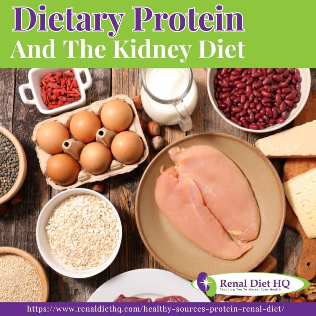 Dietary Protein And The Kidney Diet - Renal Diet HQ