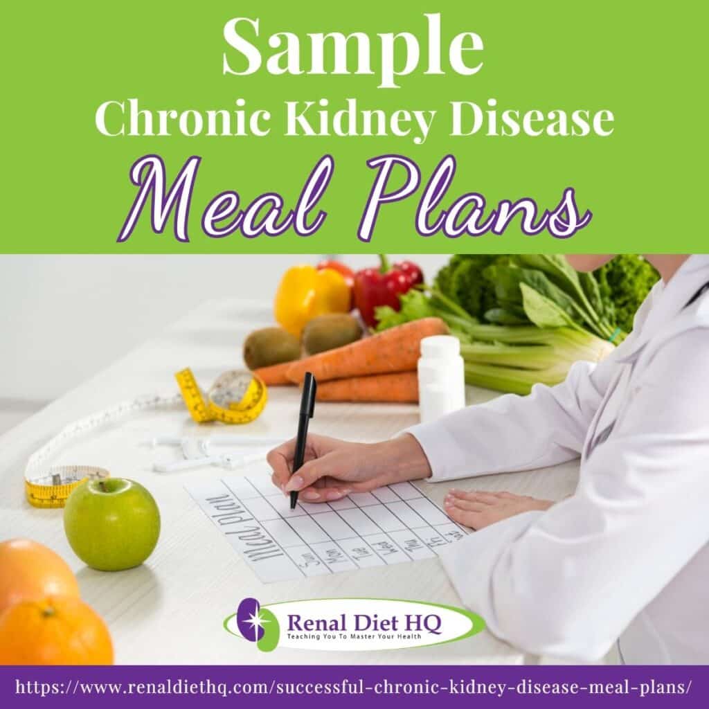 Sample Chronic Kidney Disease Meal Plans - Renal Diet HQ
