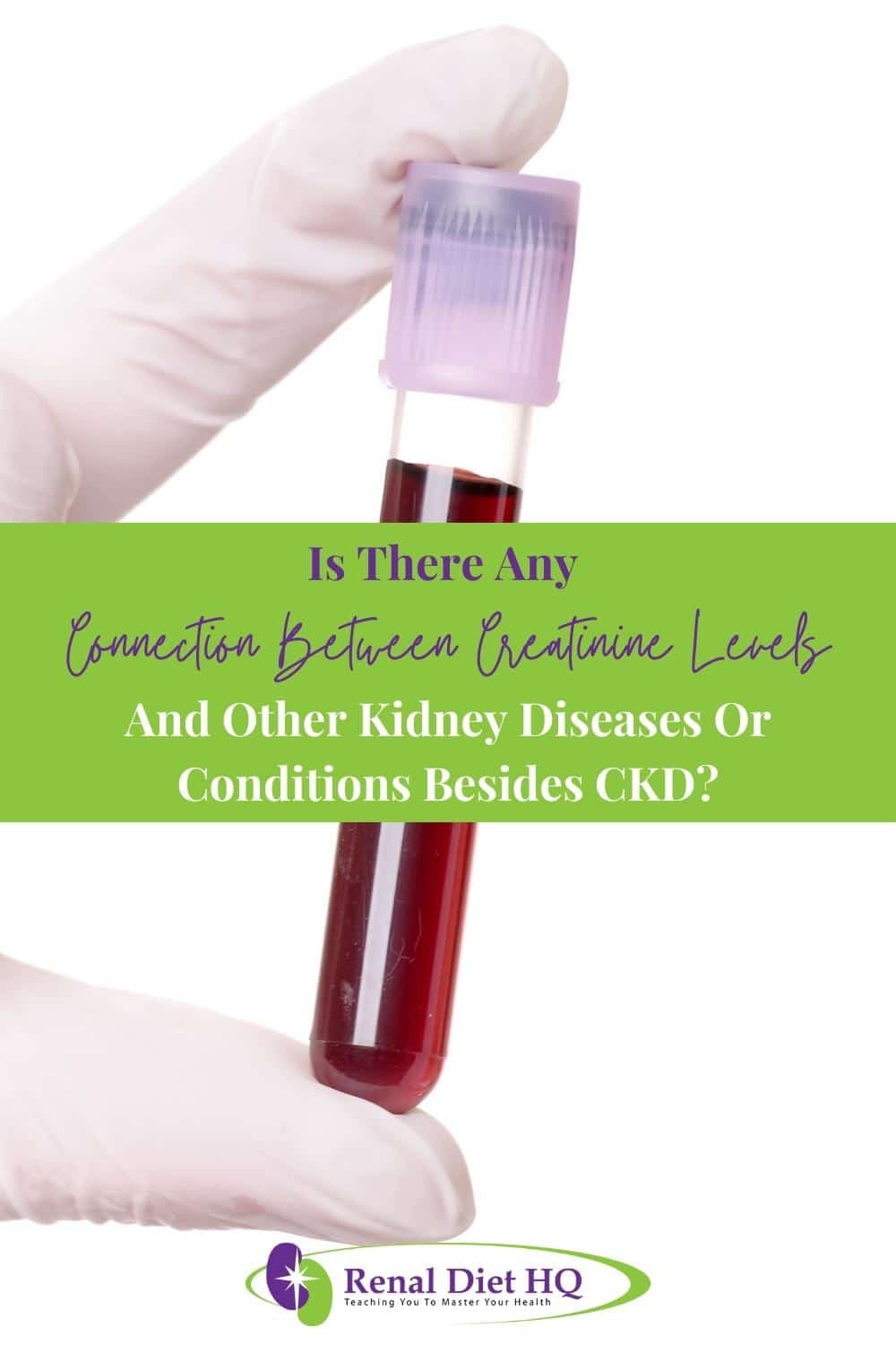 Creatinine Lab Values For Kidney Disease - Renal Diet HQ