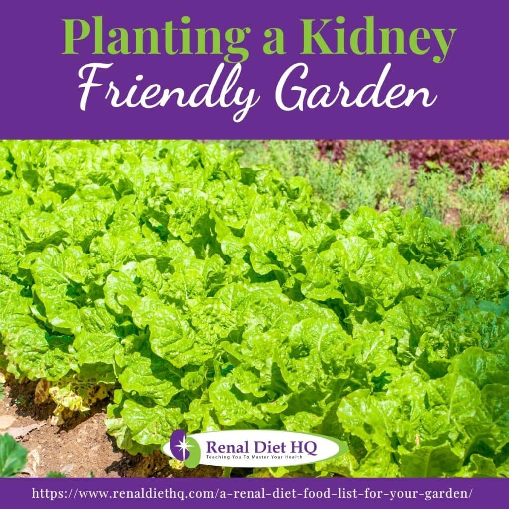 Planting a Kidney Friendly Garden - Renal Diet HQ