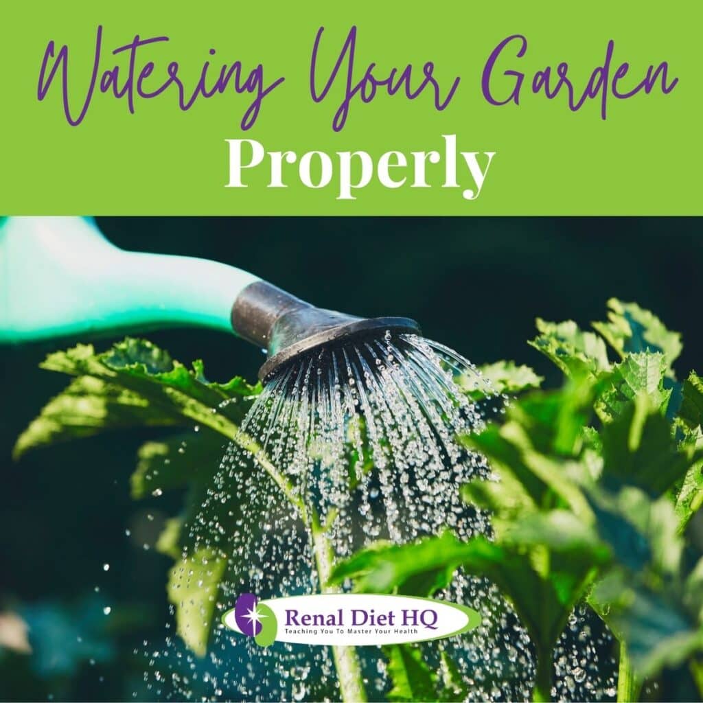 Planting a Kidney Friendly Garden - Renal Diet HQ