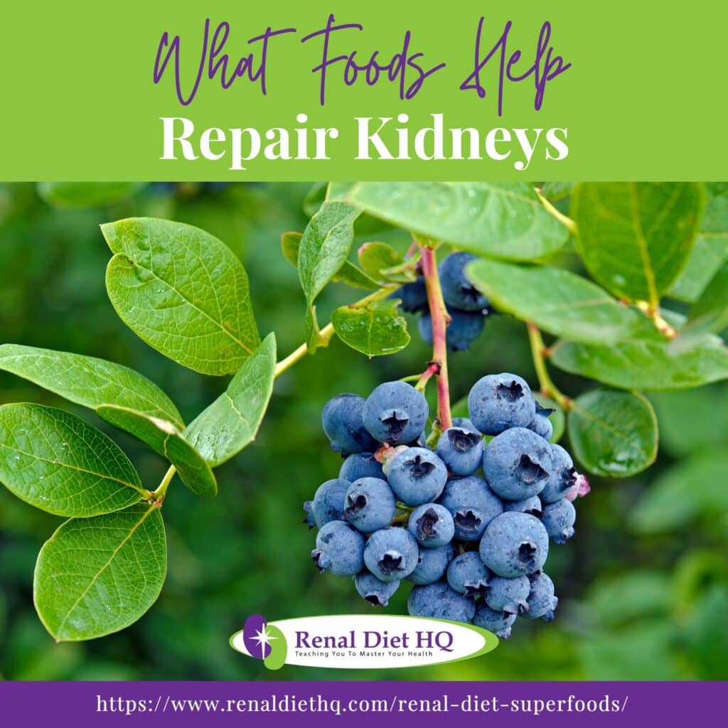 What Foods Help Repair Kidneys - Renal Diet HQ