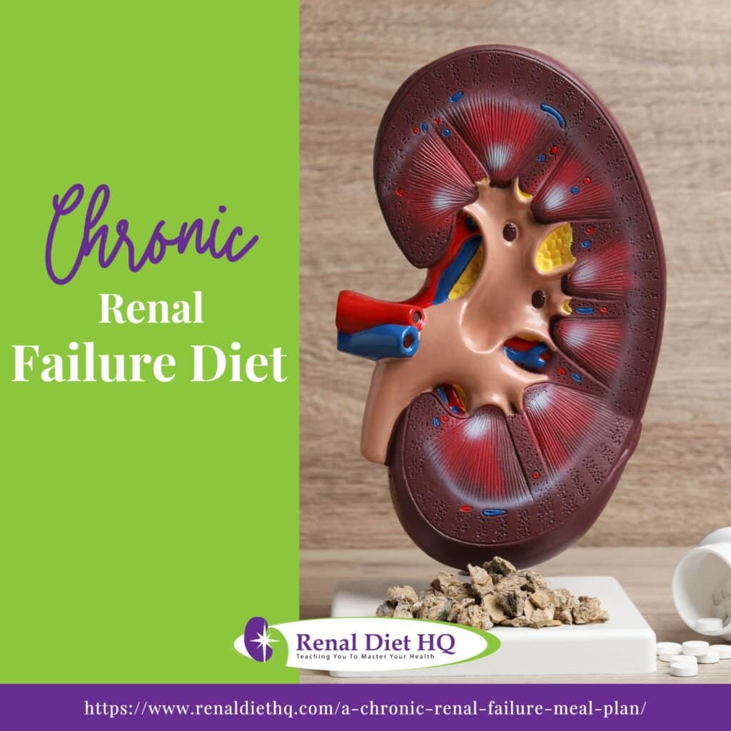 Chronic Renal Failure Meal Plan Is Important In Pre Dialysis Kidney Disease Chronic Renal Failure Meal Plan Is Important In Pre Dialysis Kidney Disease