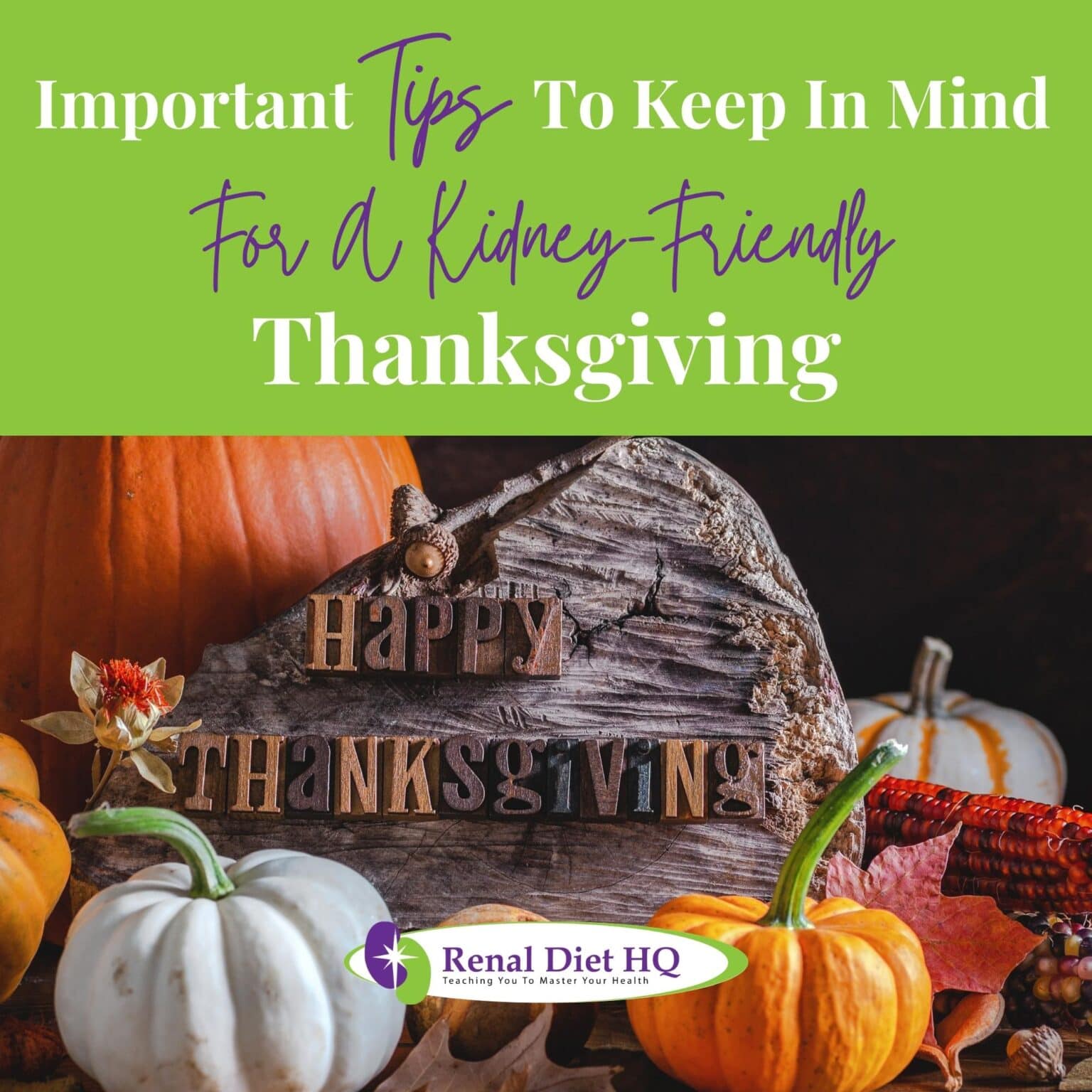 Kidney Friendly Thanksgiving Recipes - RDHQ