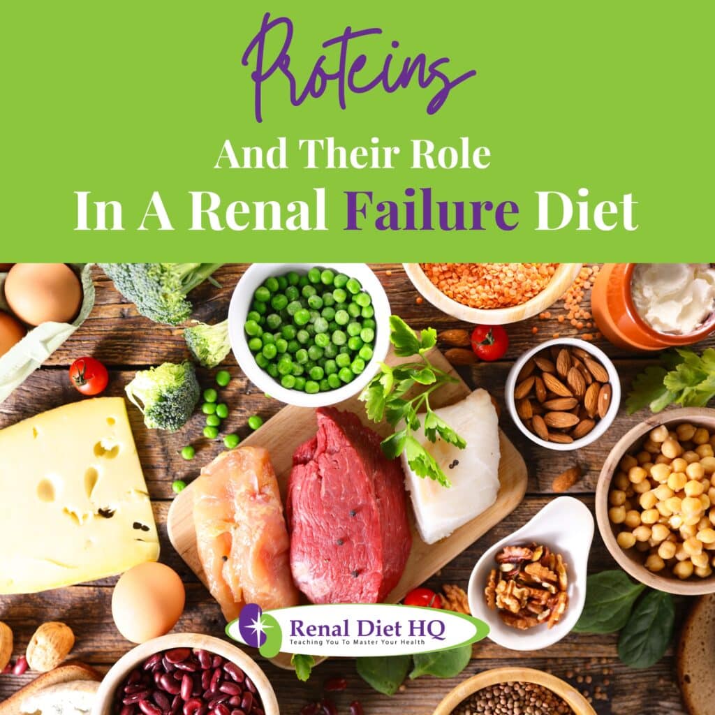 Chronic Renal Failure Meal Plan Is Important In Pre Dialysis Kidney Disease Chronic Renal Failure Meal Plan Is Important In Pre Dialysis Kidney Disease
