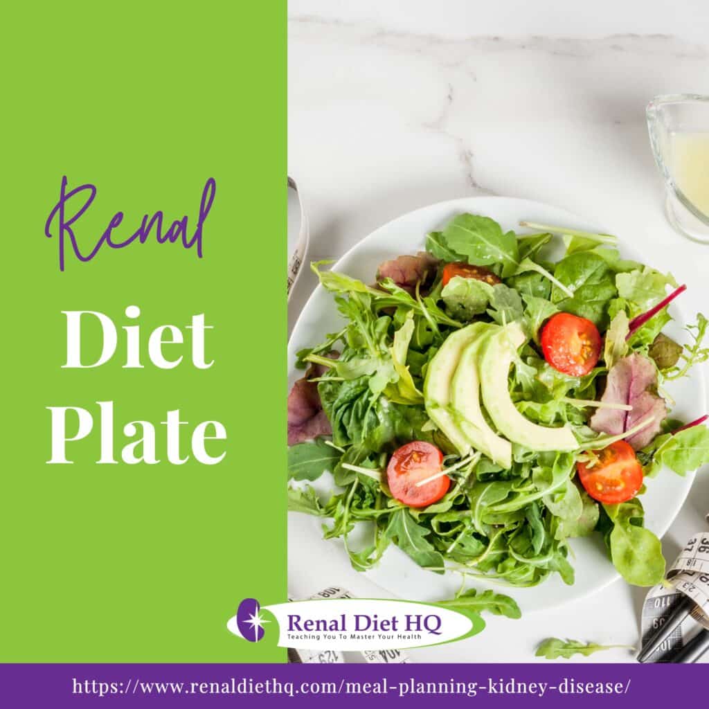 Renal Diet Plate - Renal Diet HQ