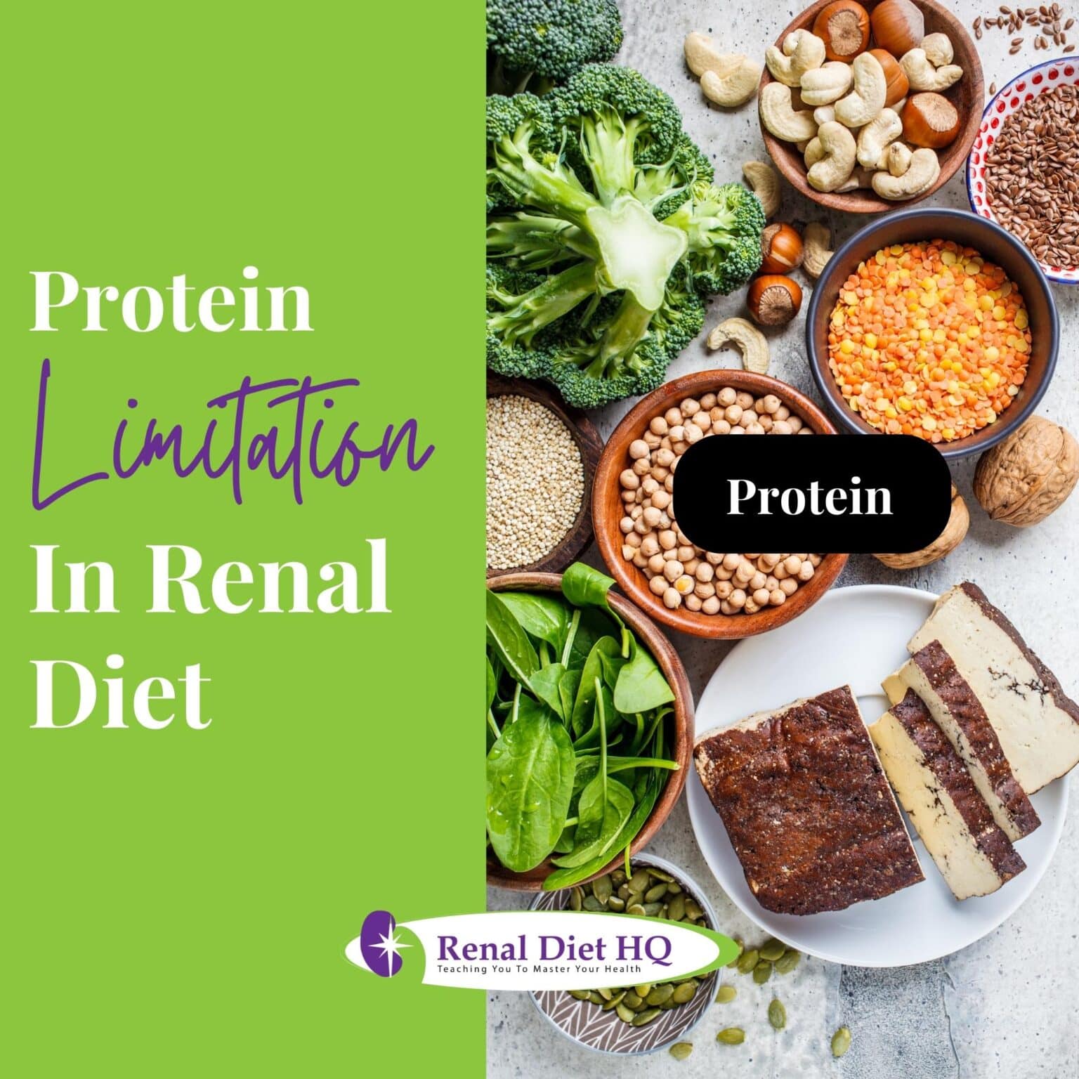 Renal Diet Information - Learn More About Meal Plans