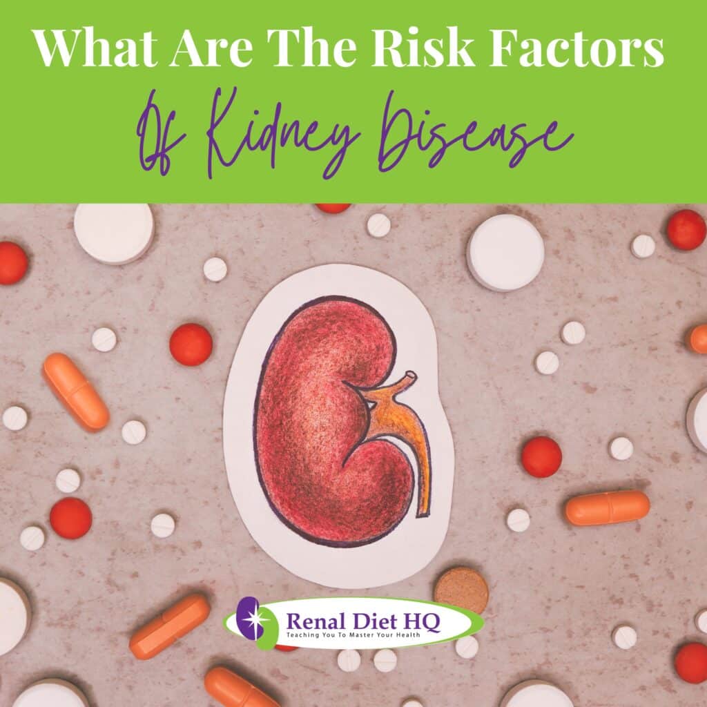 Who Is More Prone To Kidney Disease - Renal Diet HQ