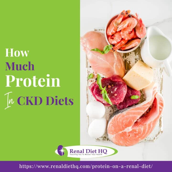 How Much Protein in CKD Diets - Renal Diet HQ