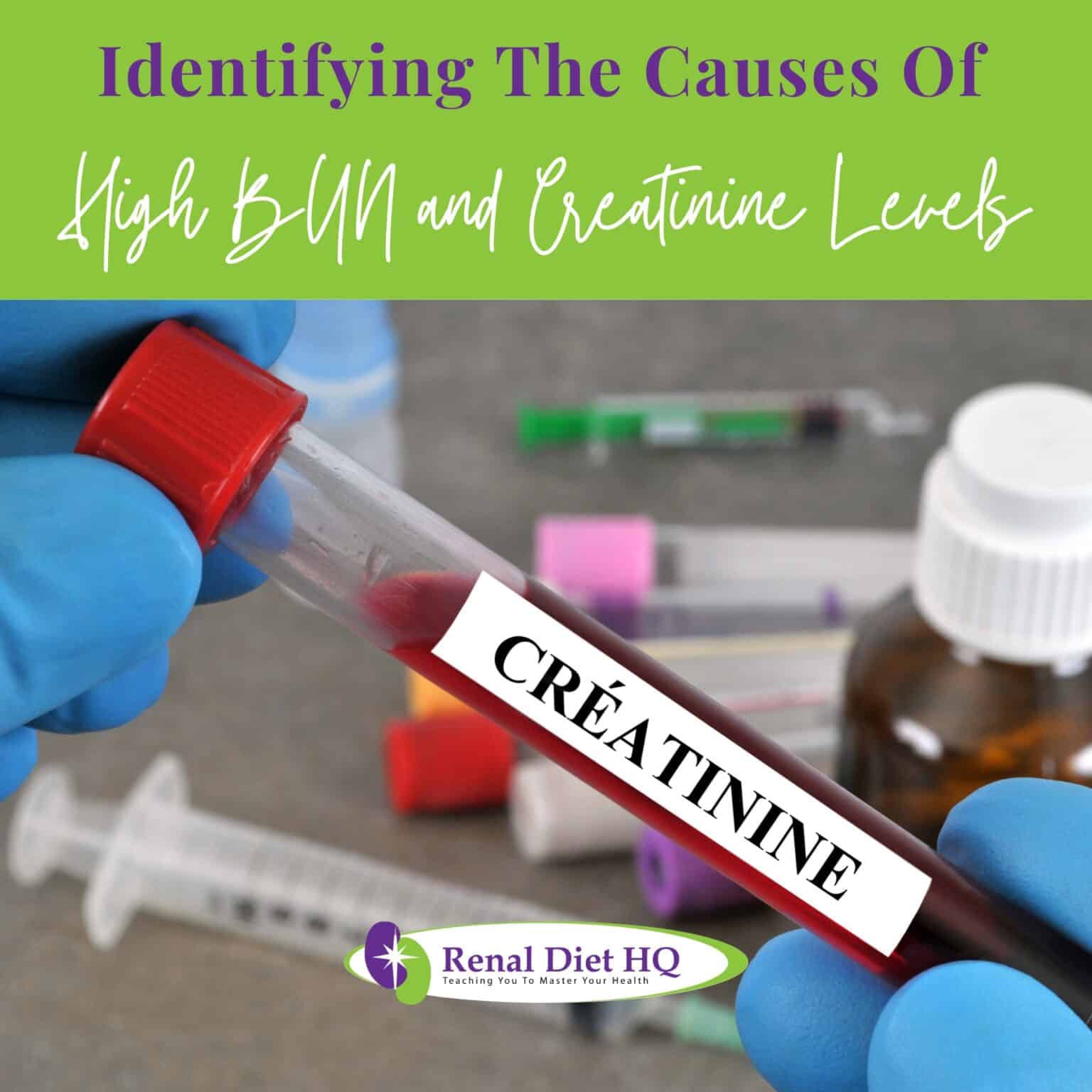 How To Improve BUN Level - Renal Diet HQ